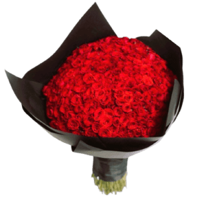 Las Rosas Rojas y todo lo que debes conocer de ellas para regalar.